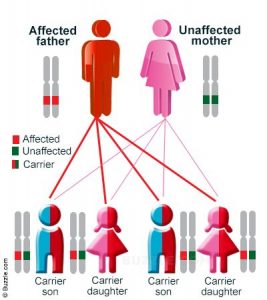 Genetically Inherited Diseases – Battle Cancer